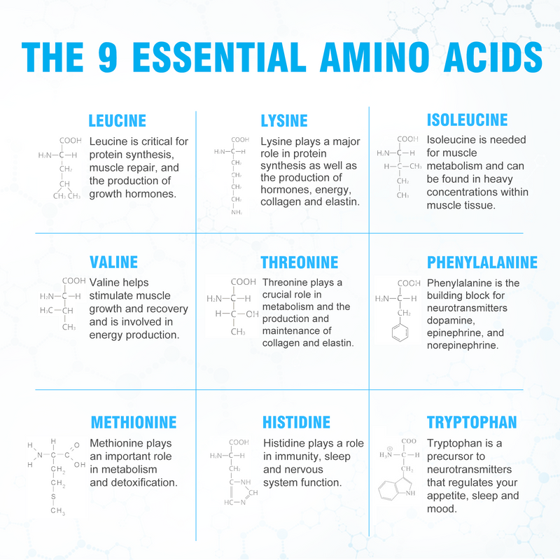 Ultimate Essential Amino Acids Supplement